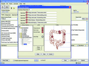 Anatomic and Digital Pathology: Pick Your Platform | Clinical Lab Products