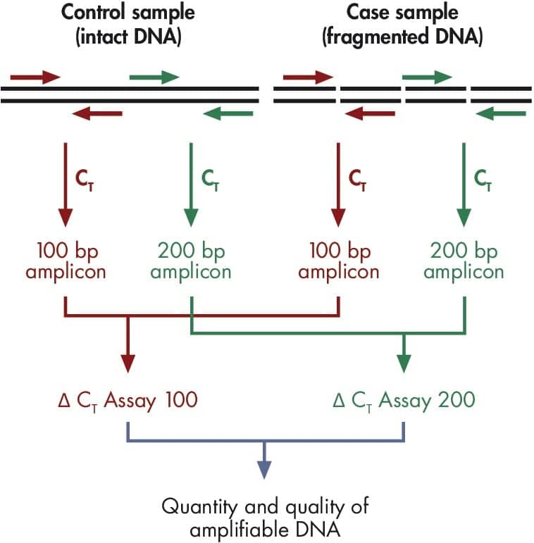 New Panels Target Cancer-Related Genes
