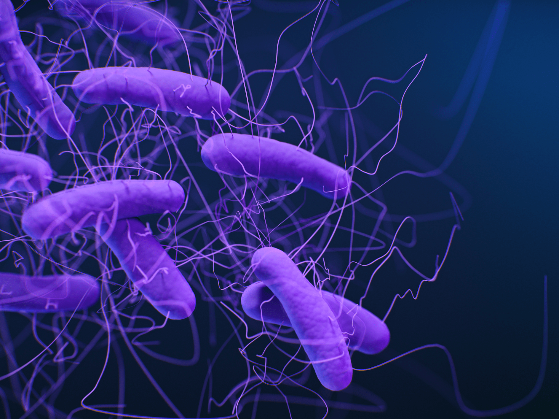 FDA Clears First Light Diagnostics Rapid C. difficile Test on MultiPath ...