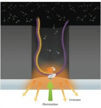What Is SMRT Sequencing? | Clinical Lab Products