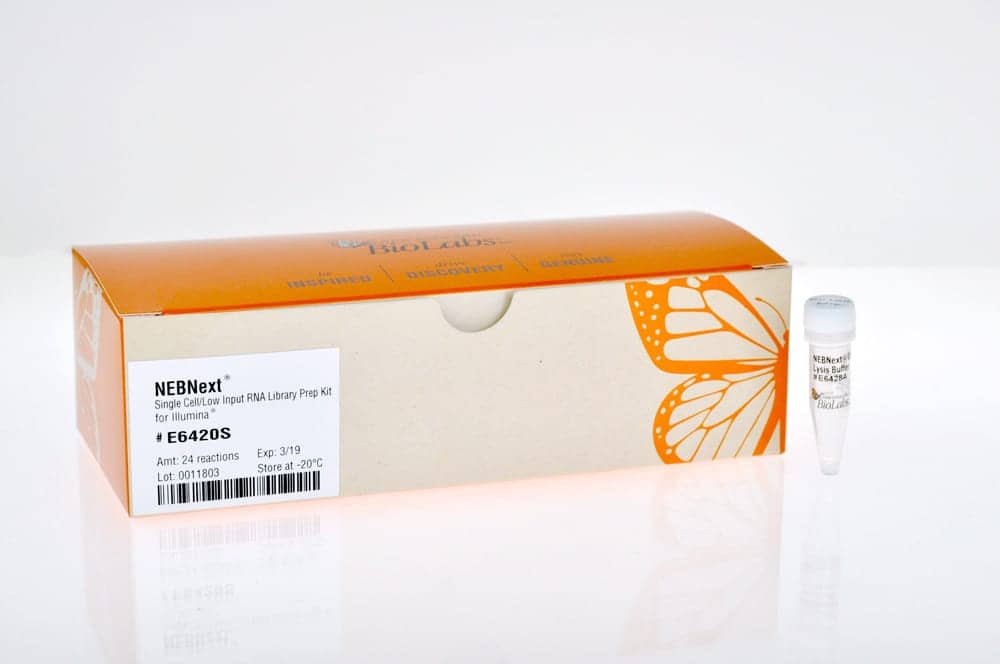 RNA Library Prep Kit - Clinical Lab Products