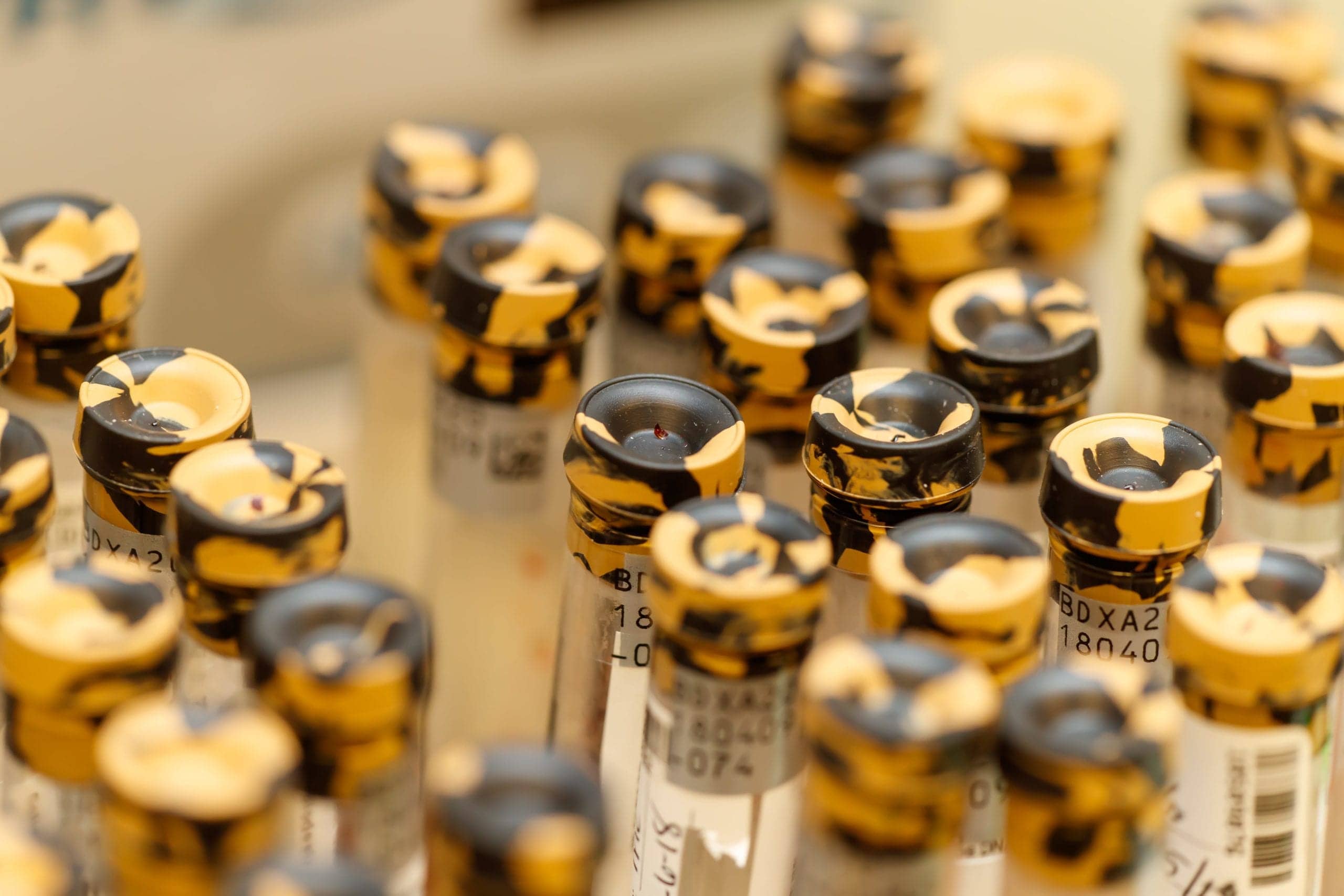 In Vitro Diagnostics