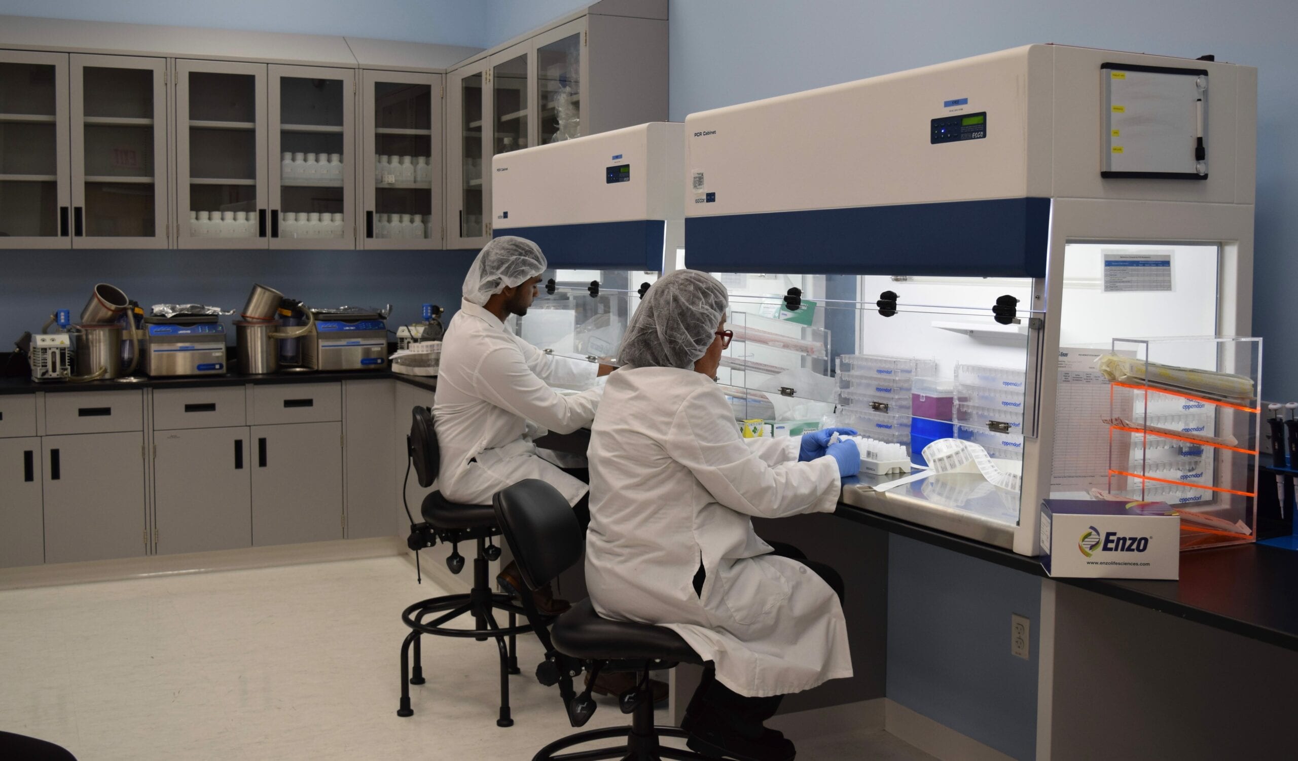 Enzo Biochem Receives EUA For Testing Pooled Samples on Three Platforms ...