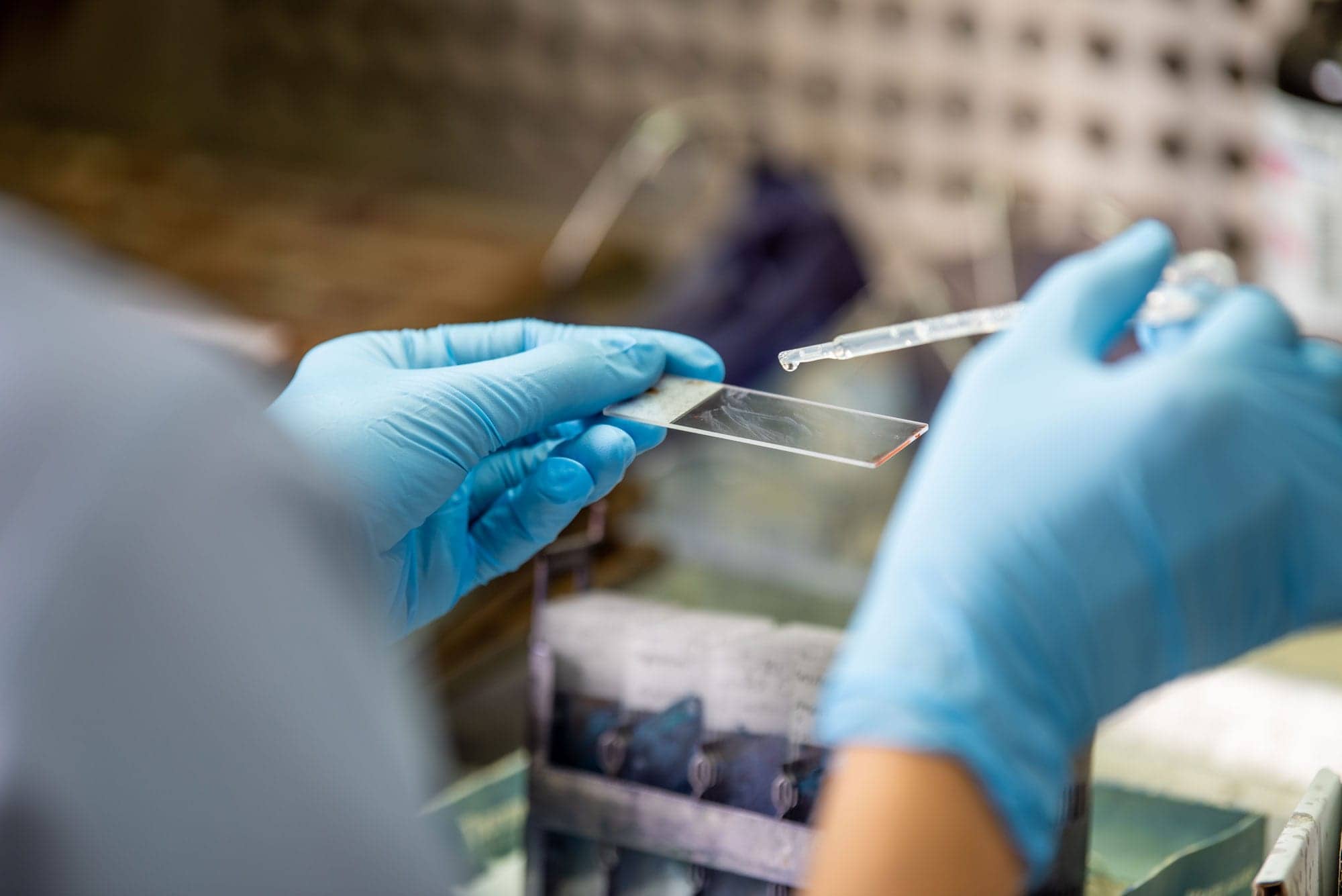 White Paper: Standardizing the Hematology Stain Workflow with Aerospray ...