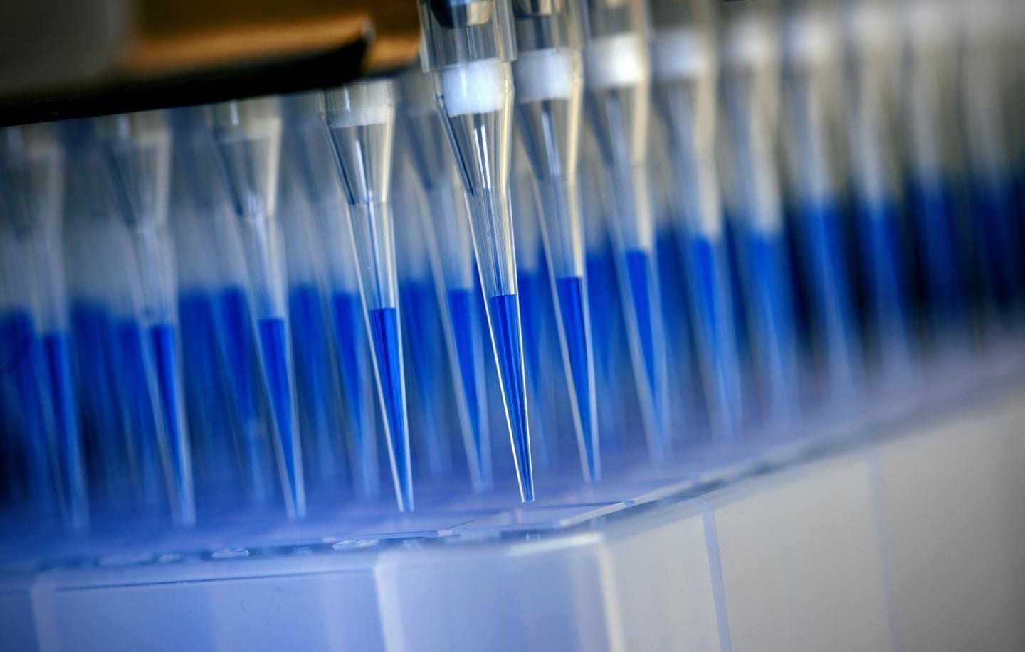 New Corona Mass Test up to 100 Times More Sensitive Than qPCR test ...