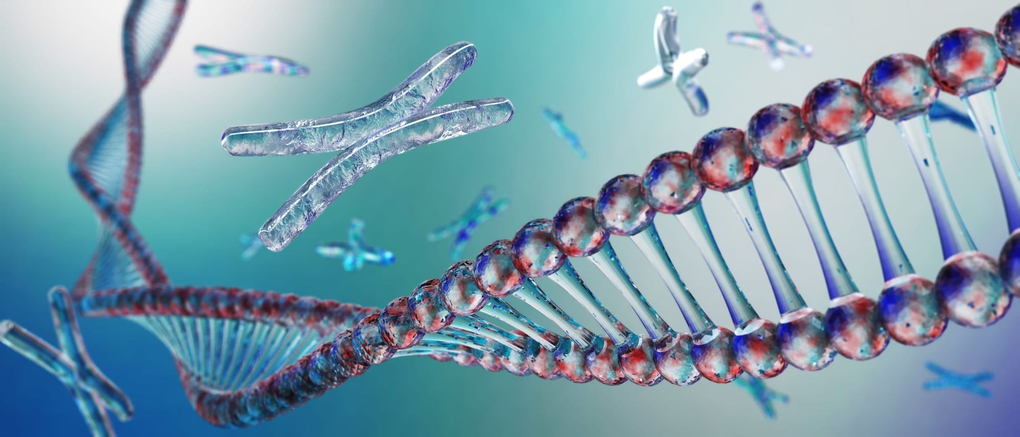 Gene Linked To Congenital Heart Disease Identified Clinical Lab Products gene-linked-to-congenital-heart-disease-identified-clinical-lab-products