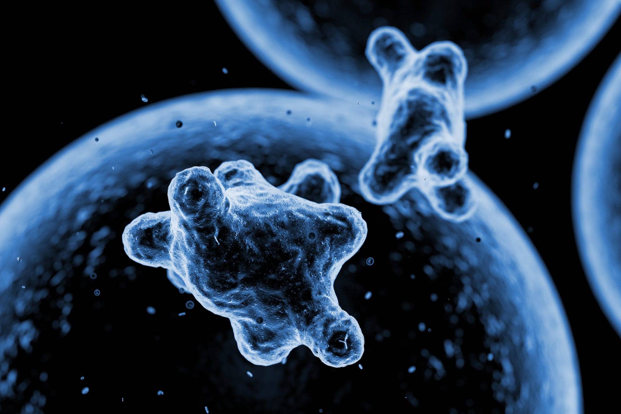 Viruses May Impact Health Long After infection | Clinical Lab Products