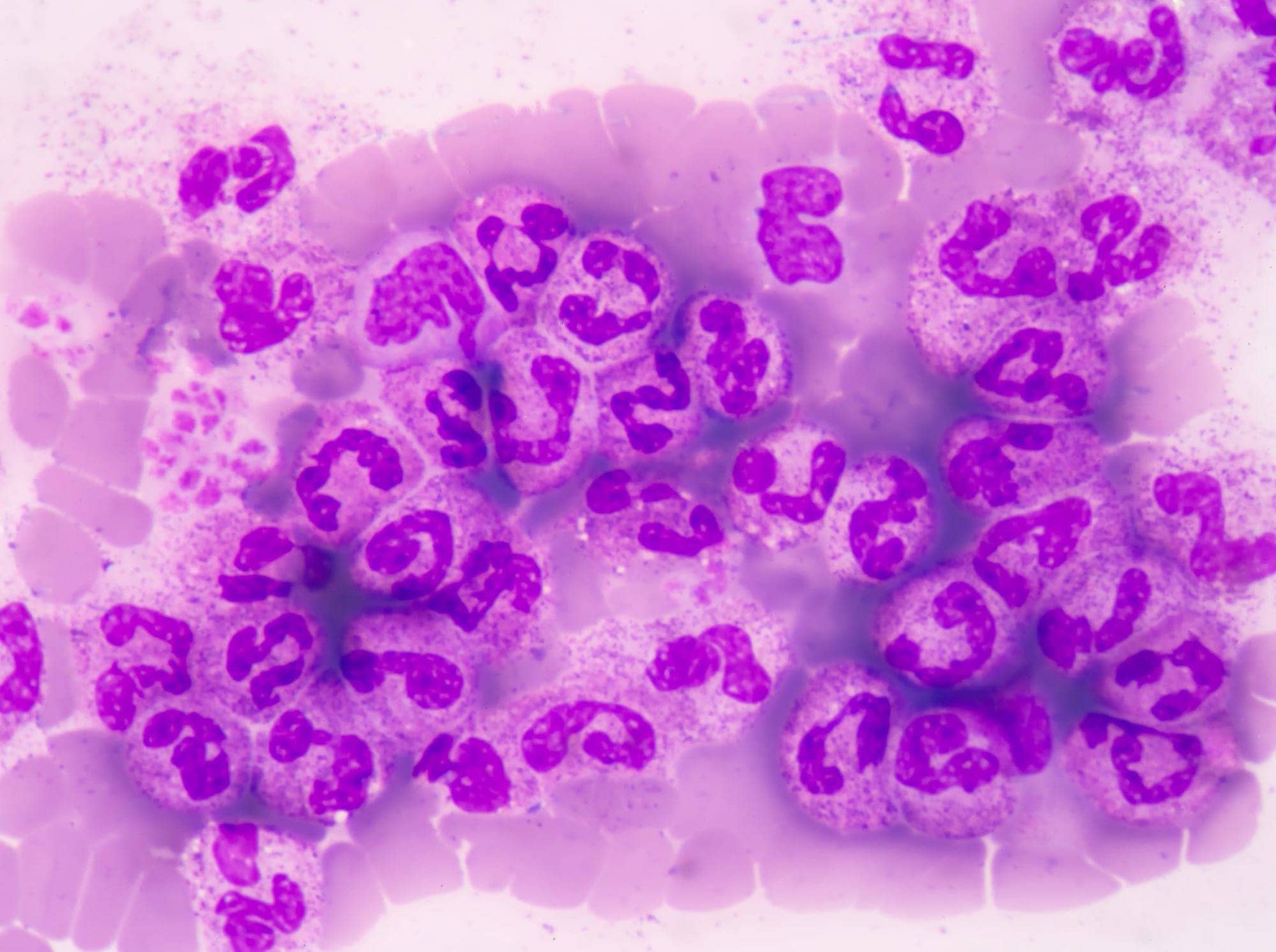 | Clinical Lab Products