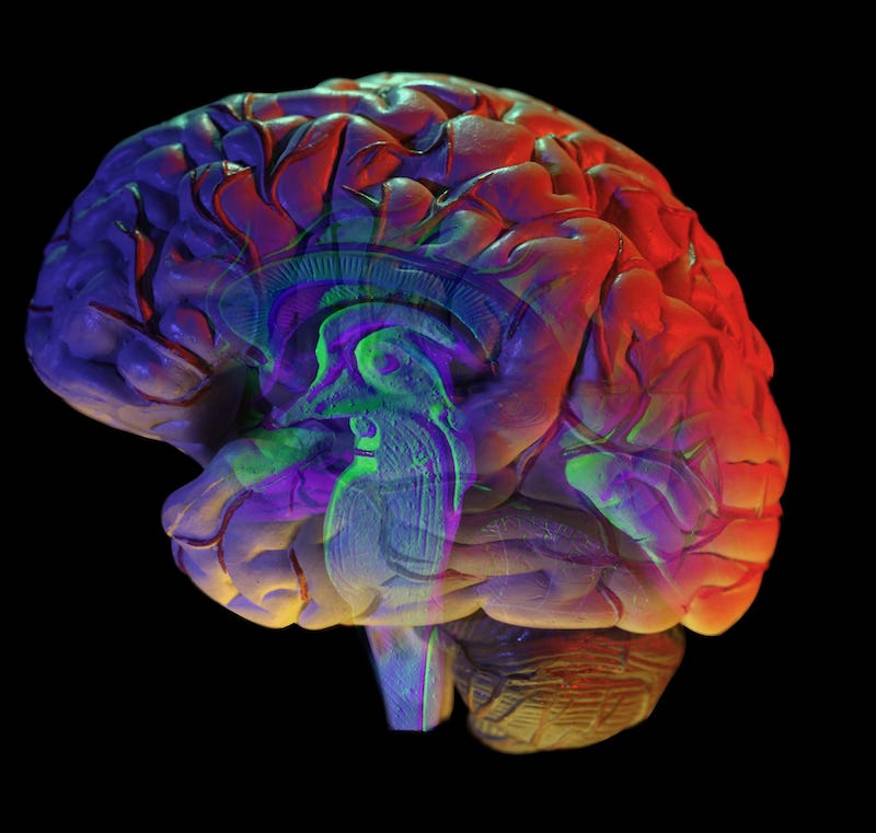 New Advances in Human Prion Disease Diagnosis | Clinical Lab Products