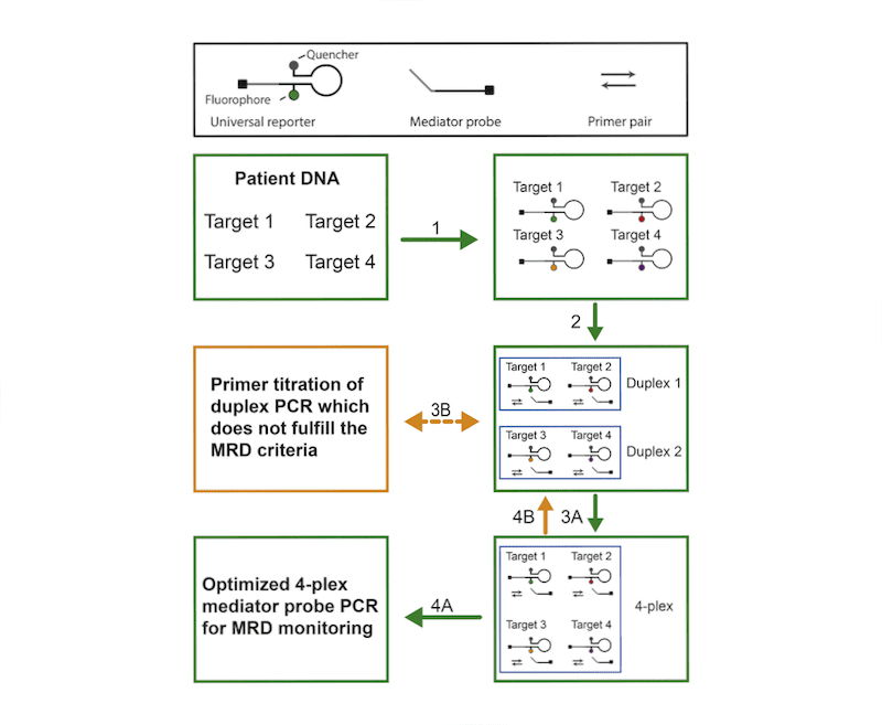 Improved Monitor of Cancer Recurrence in Leukemia Patients Through New ...