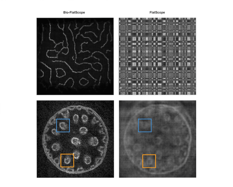 Lensless Microscopy Device Images Through Skin | Clinical Lab Products