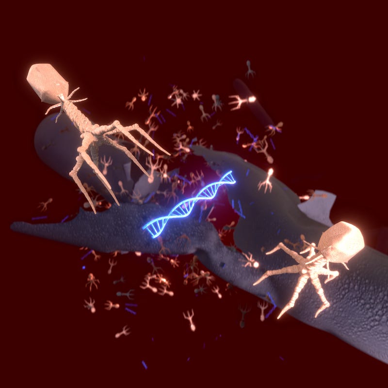 New Centre for Phage Research features Actiphage