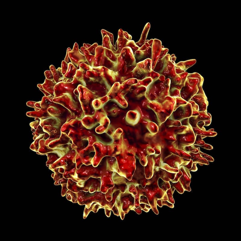 Post-Viral Syndromes and the Utility of T-cell Diagnostics | Clinical ...