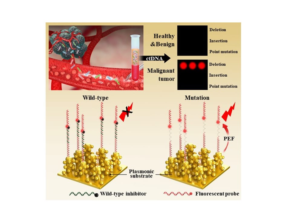 New Cancer Gene Detection Tech Achieves High Sensitivity | Clinical Lab ...
