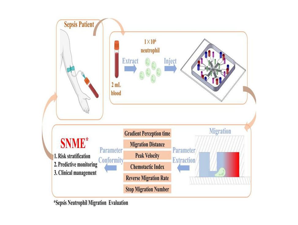 New Microfluidic Chip Tech Offers Improved Sepsis Prognosis | Clinical ...