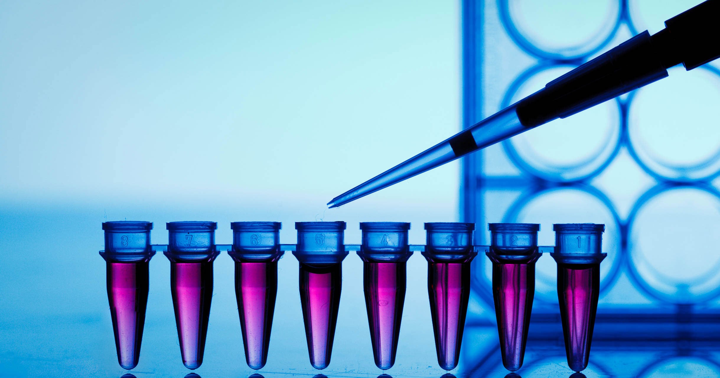 Catalog: High Multiplex Real-Time PCR Assays and Automated Solutions ...