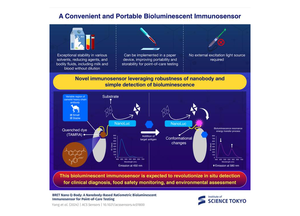 Nanobody-Based Immunosensor Enables Robust POC Testing | Clinical Lab ...