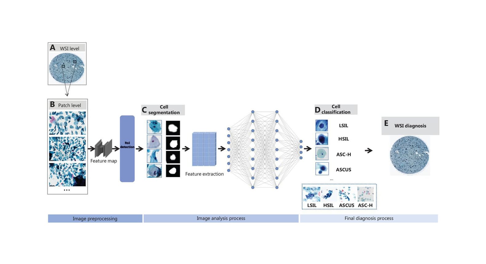 How AI is Revolutionizing Cervical Cancer Screening | Clinical Lab Products