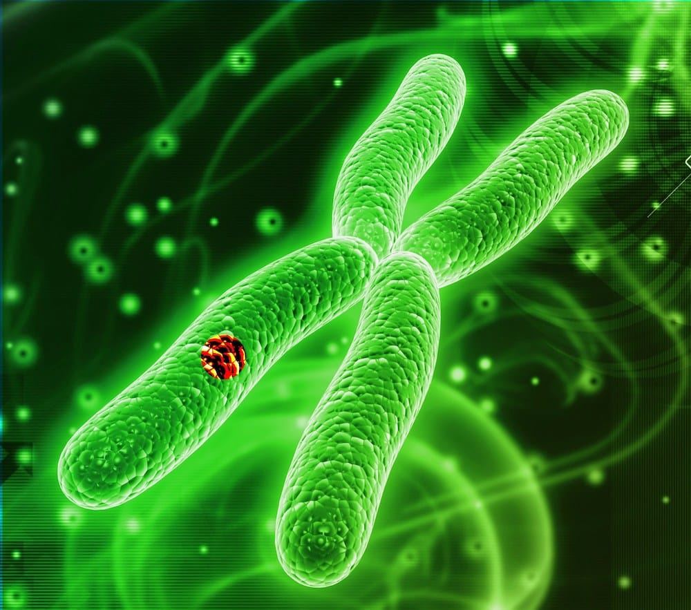 Datar Cancer Genetics Unveils Advanced Blood Test for MRD | Clinical ...