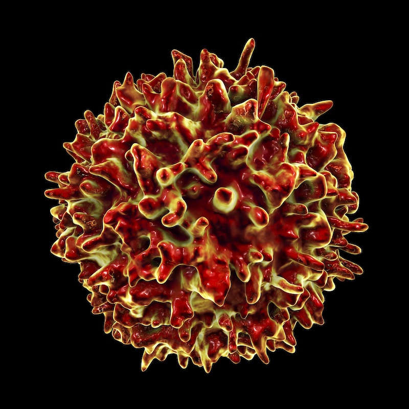 T-Cell Dysfunction in Post-acute Infection Syndromes Data Presented ...