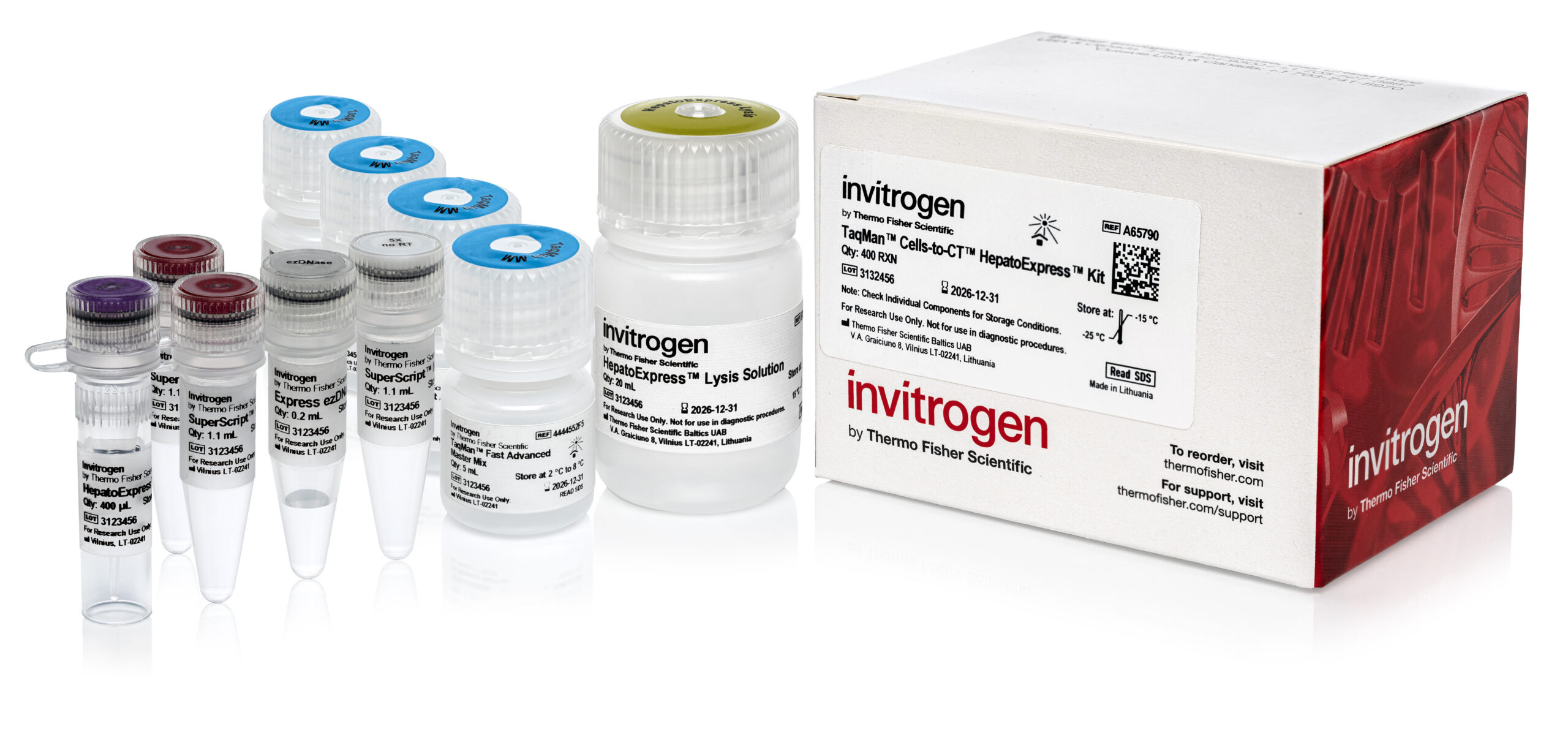 Thermo Fisher Launches HepatoExpress Kit for Liver Cell Gene Expression ...